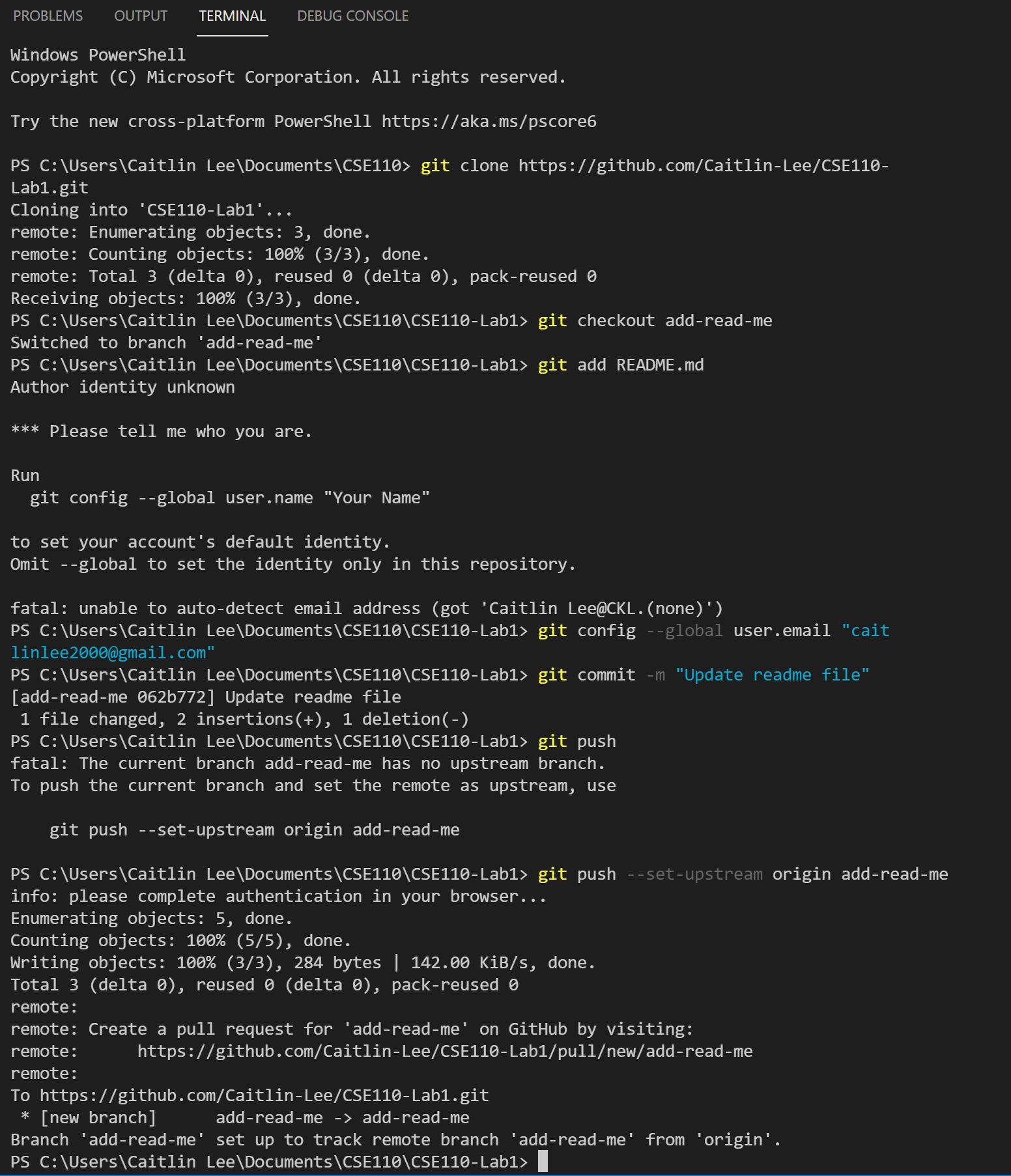 Caitlin Lee | CSE110-Lab1